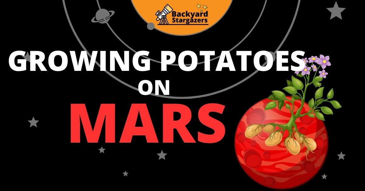 Growing Potatoes on Mars: Is It Possible Like in The Martian?