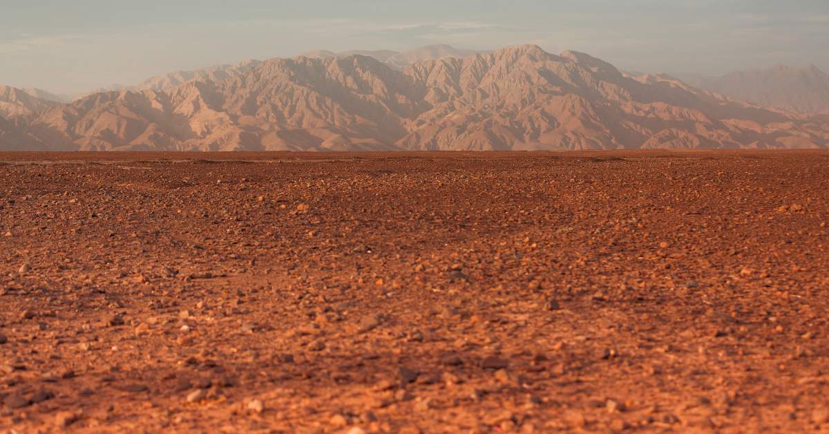 What are some of the unique geological features on Mars: Canyons ...